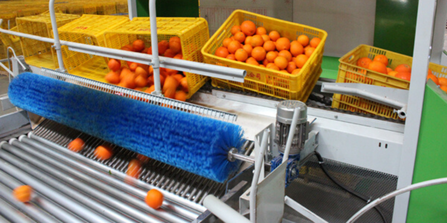 How to Start Fresh Fruits & Vegetables Exports From India: Exim Santhosh